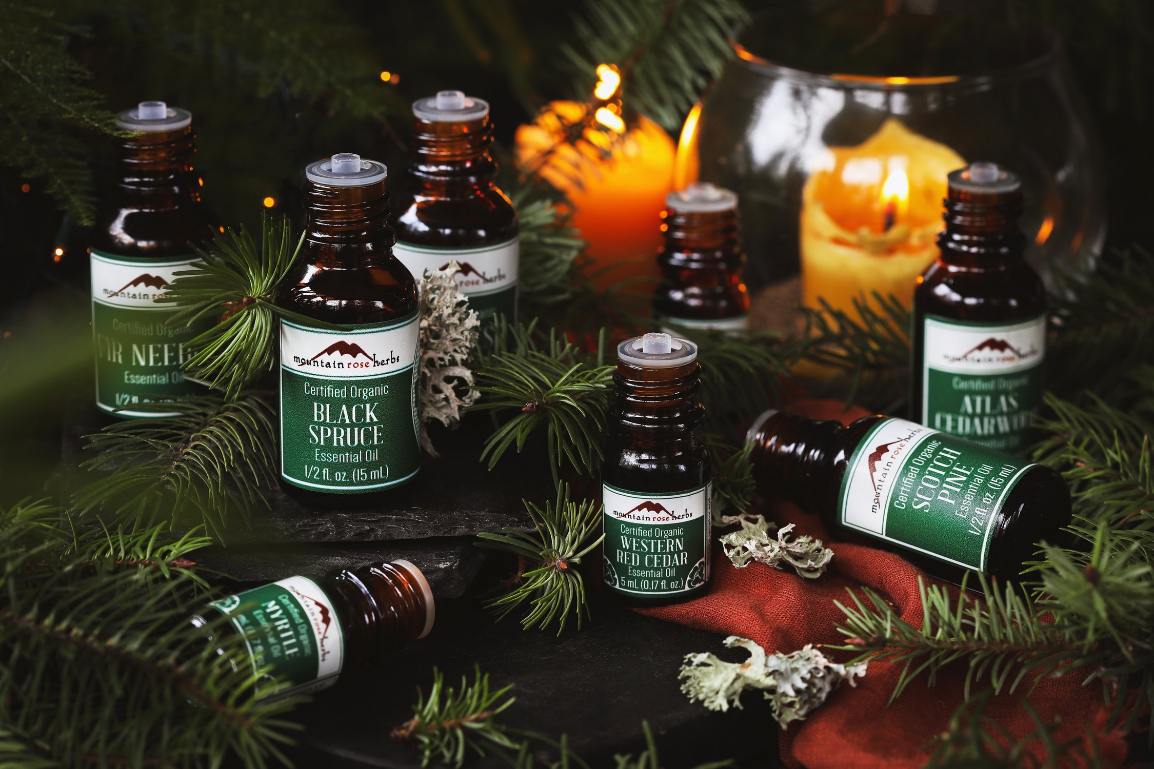 Guide to Evergreen Essential Oils